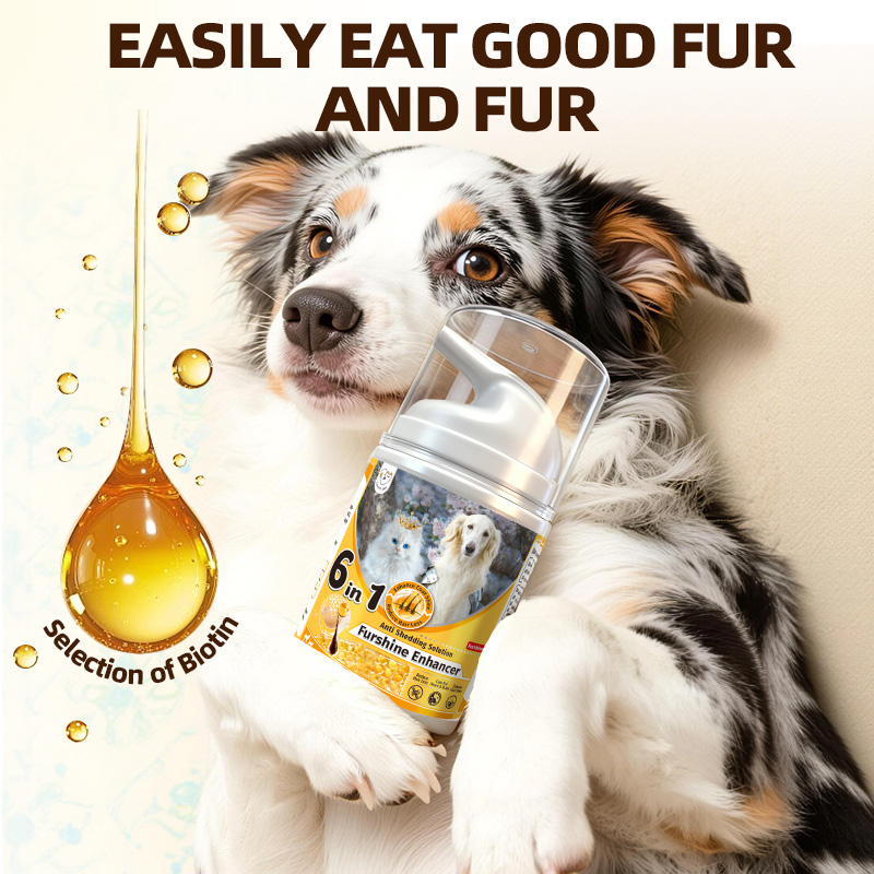 【NEW】Cassiel Pet Furshine Enhancer | Biotin + Fish Oil + Flaxseed Oil ...