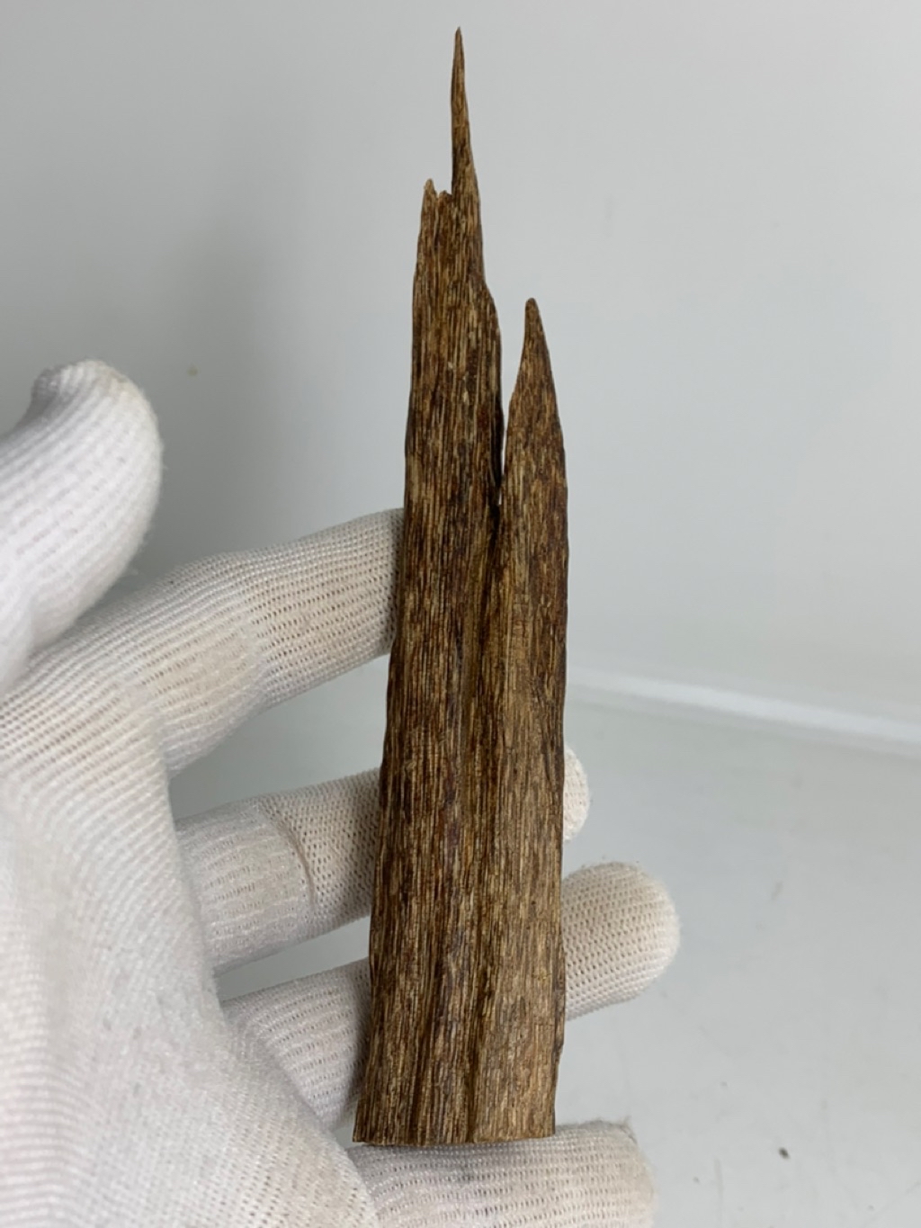 Malaysia Wild Oud Agarwood | Shopee Malaysia