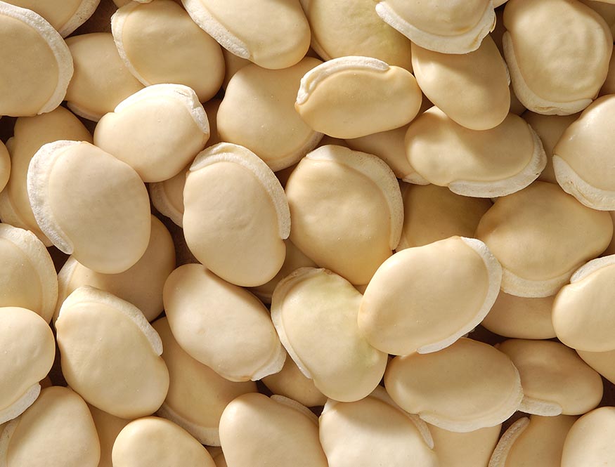 LABLAB BEANS / LIMA BEANS (Butter Beans) | Shopee Malaysia