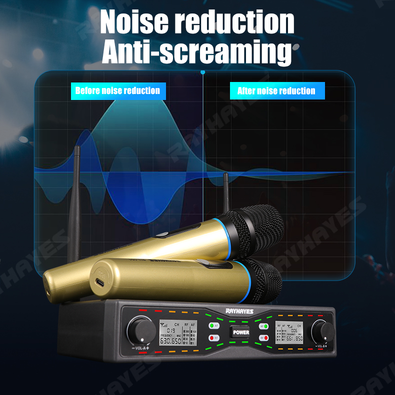 RAYHAYES Microphone Wireless System UHF Rechargeable Microphone LED ...