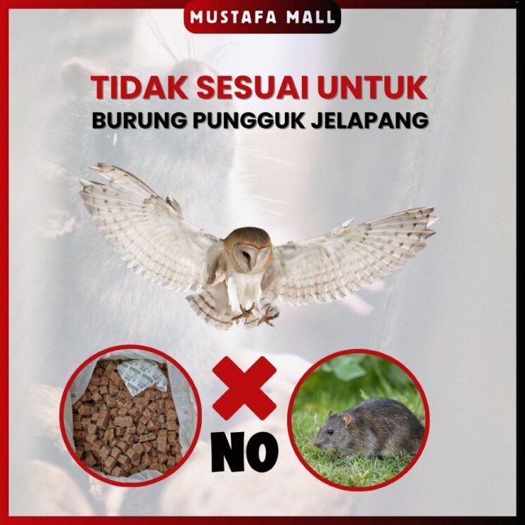 Ebor 2030 Racun Tikus Sime Darby Umpan Blok Brodifacoum 50g 250g 500g ...