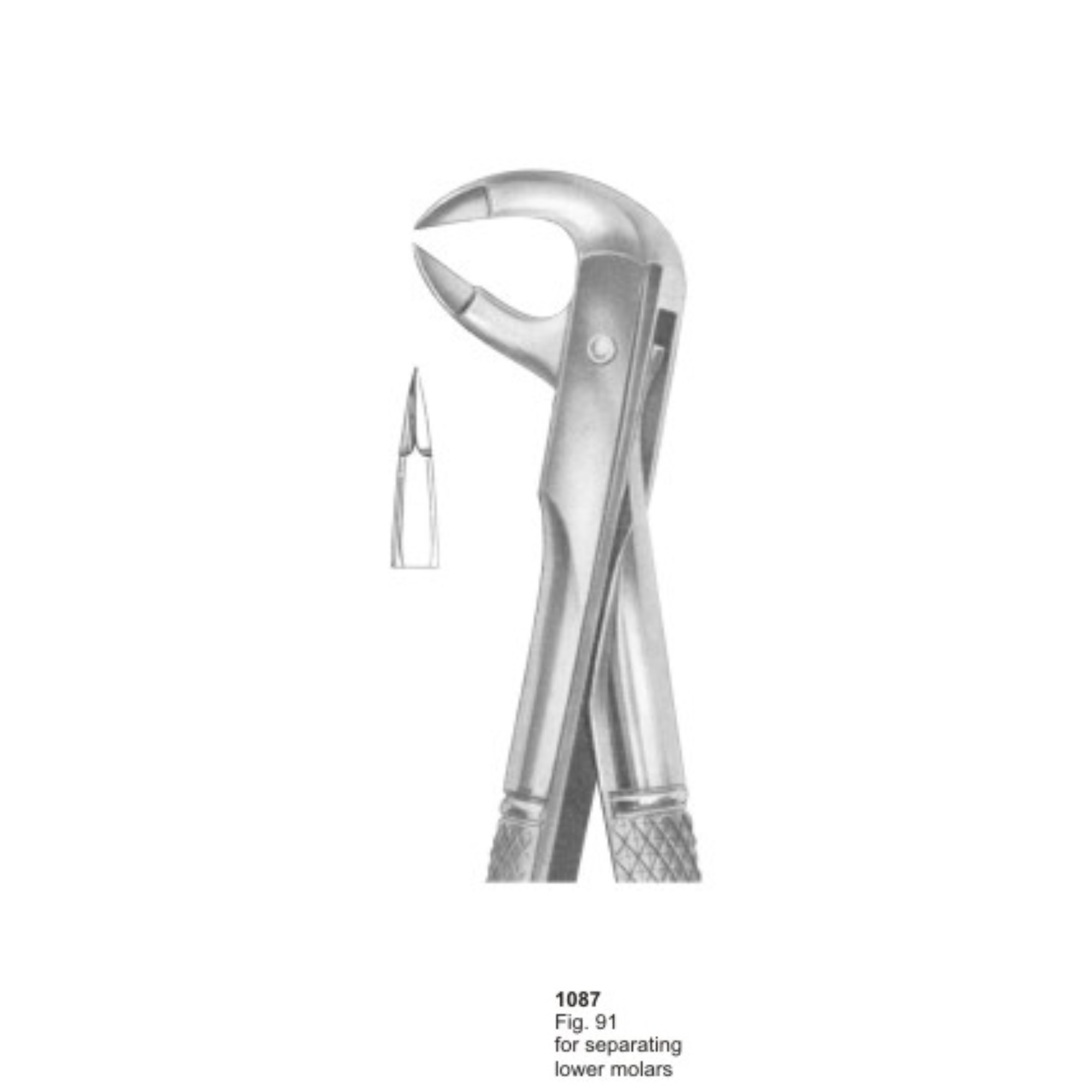 Dental Tooth Extraction Forceps Fig 91 for Separating lower molars ...