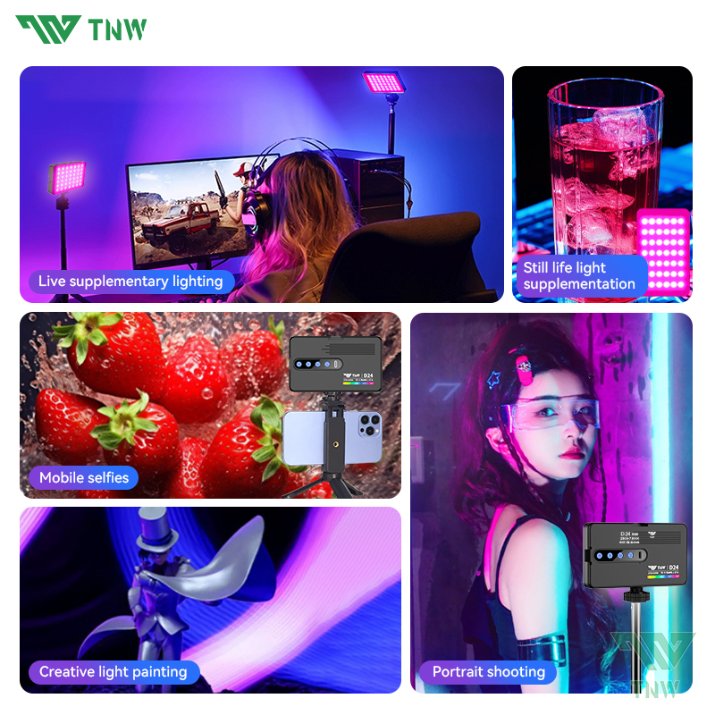 TNW D24 RGB LED Video Light 2000mAh Rechargeable Portable Photography ...