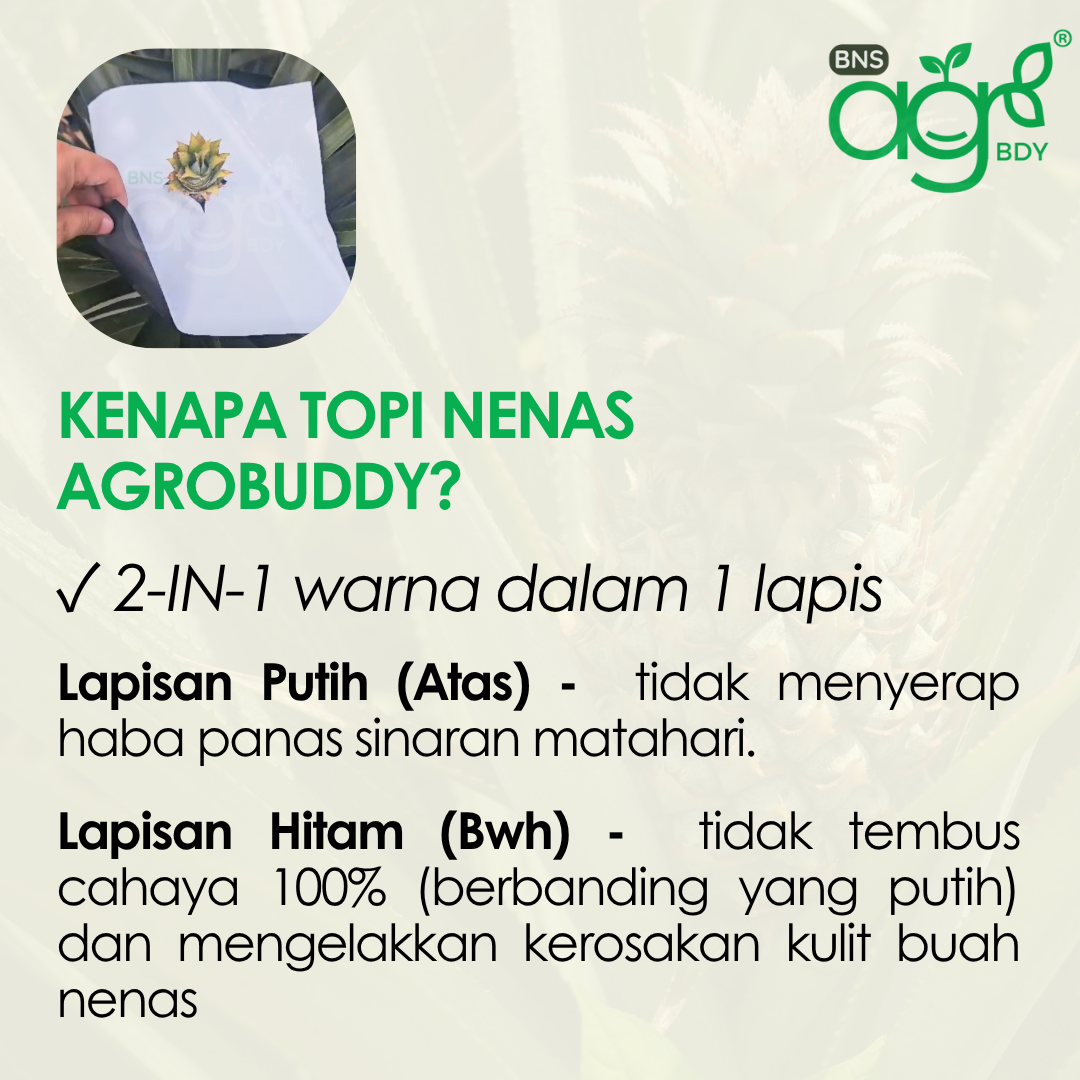 [100PCS] AgroBuddy Topi Nanas Topi Nenas MD2 | Pineapple Cap Pineapple ...