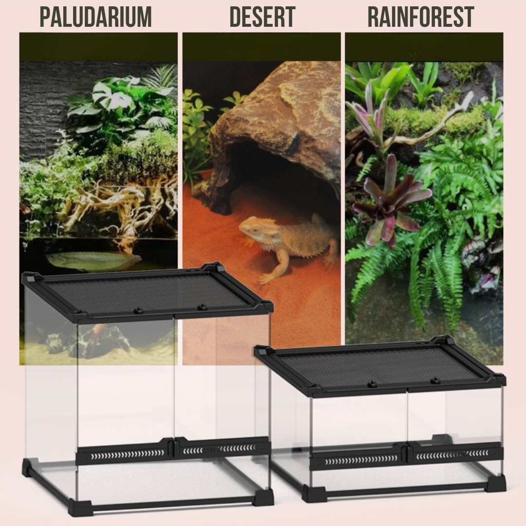 10 Sizes Reptile Glass Terrarium Tempered Glass Reptile Dual Door ...