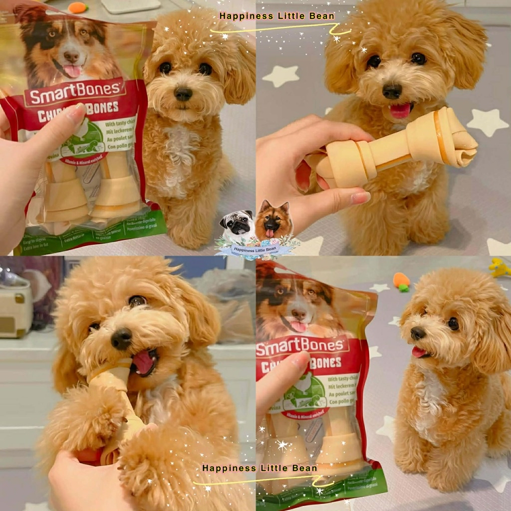 Smartbones Dental care healthy Pet Snack Dog Chew Chicken No Rawhide ...