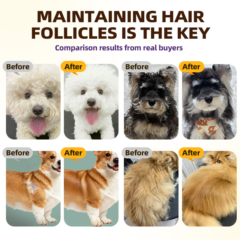 【NEW】Cassiel Pet Furshine Enhancer | Biotin + Fish Oil + Flaxseed Oil ...