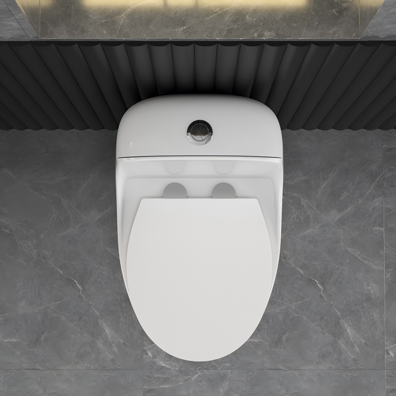NEXA-66807 Compact One-Piece Toilet with Dual Flush System for Modern ...