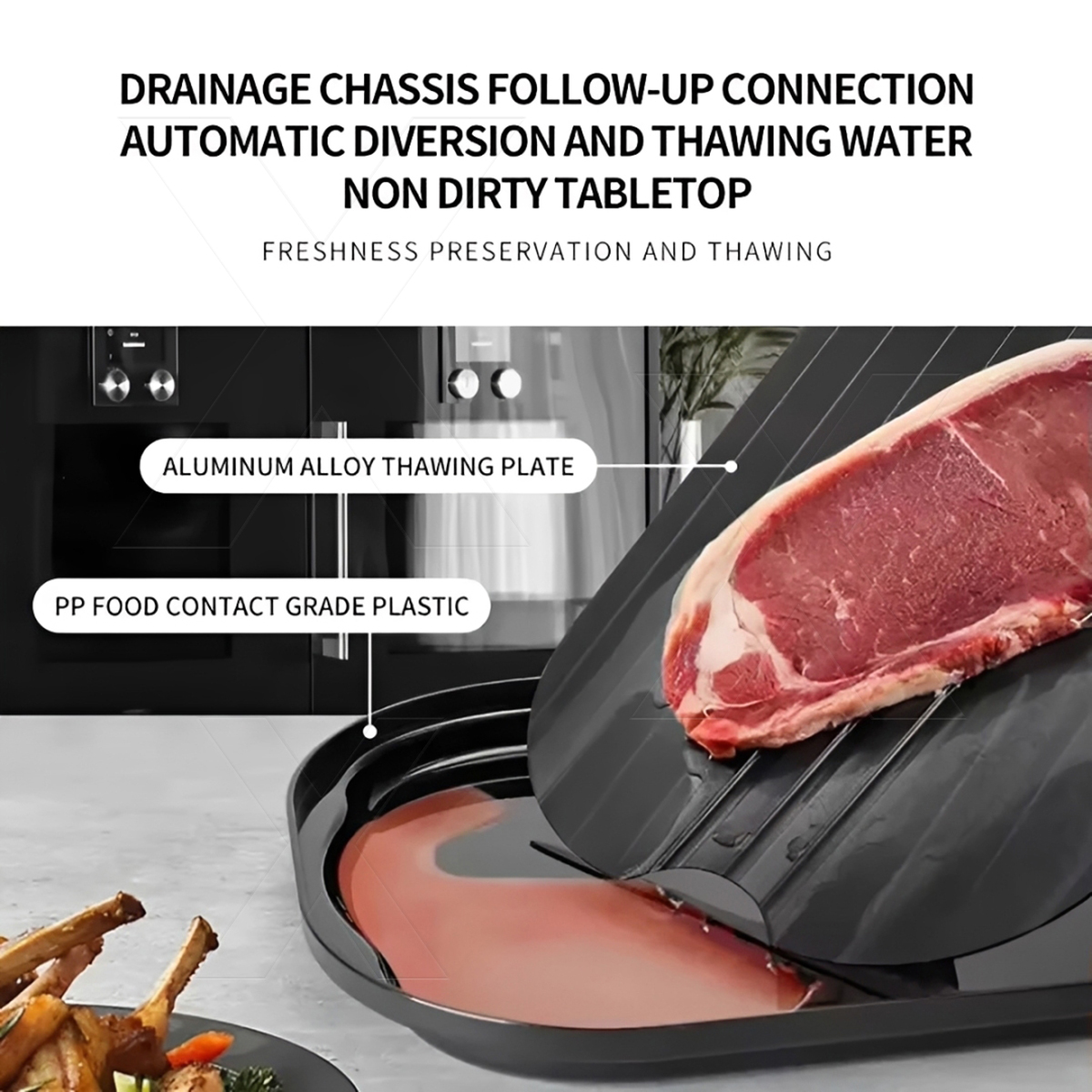 Kitchen Quick Thaw Machine Defroster Tray Box Food Grade Aluminum Ice ...