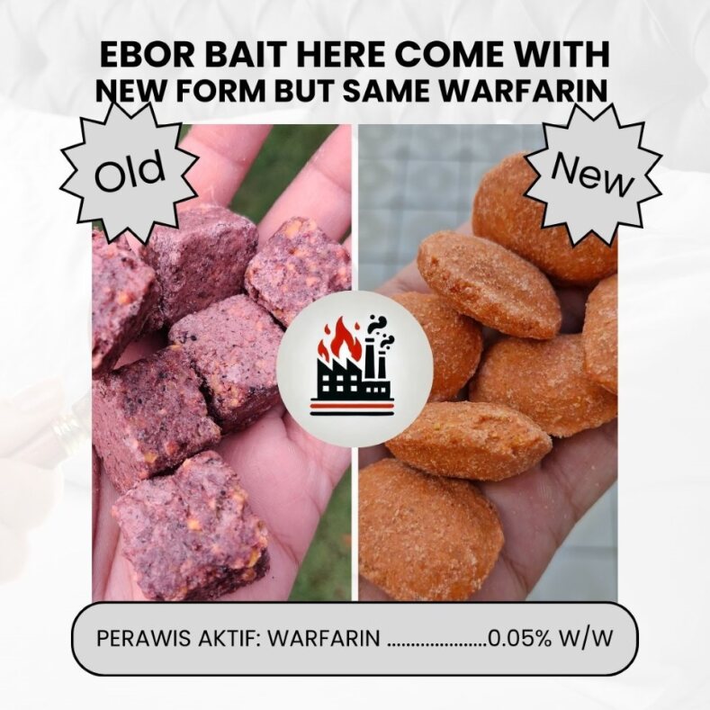 Racun Tikus EBOR BAITS 50G 250g 500g 1KG Rodenticide Hapus Tikus Rat ...