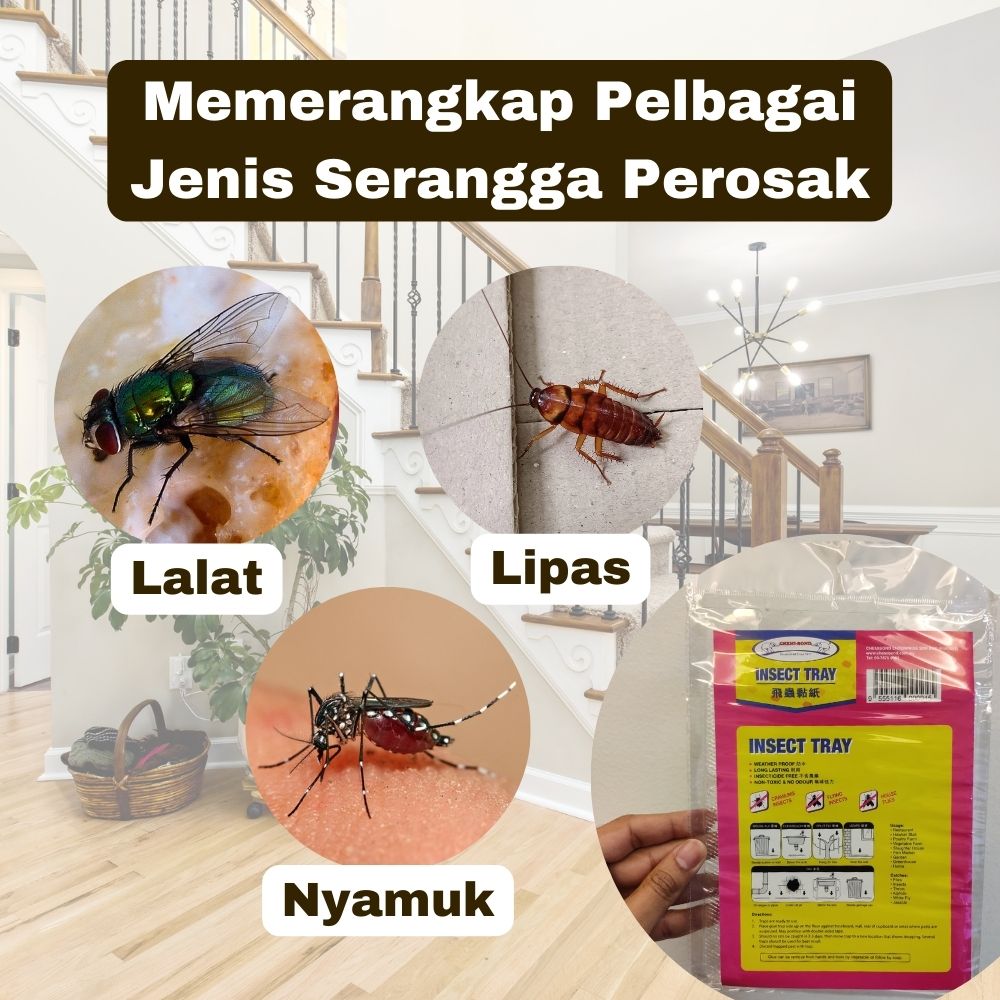 CHEMIBOND Insect Sticker Trap Tray Non Toxic Odorless | Shopee Malaysia