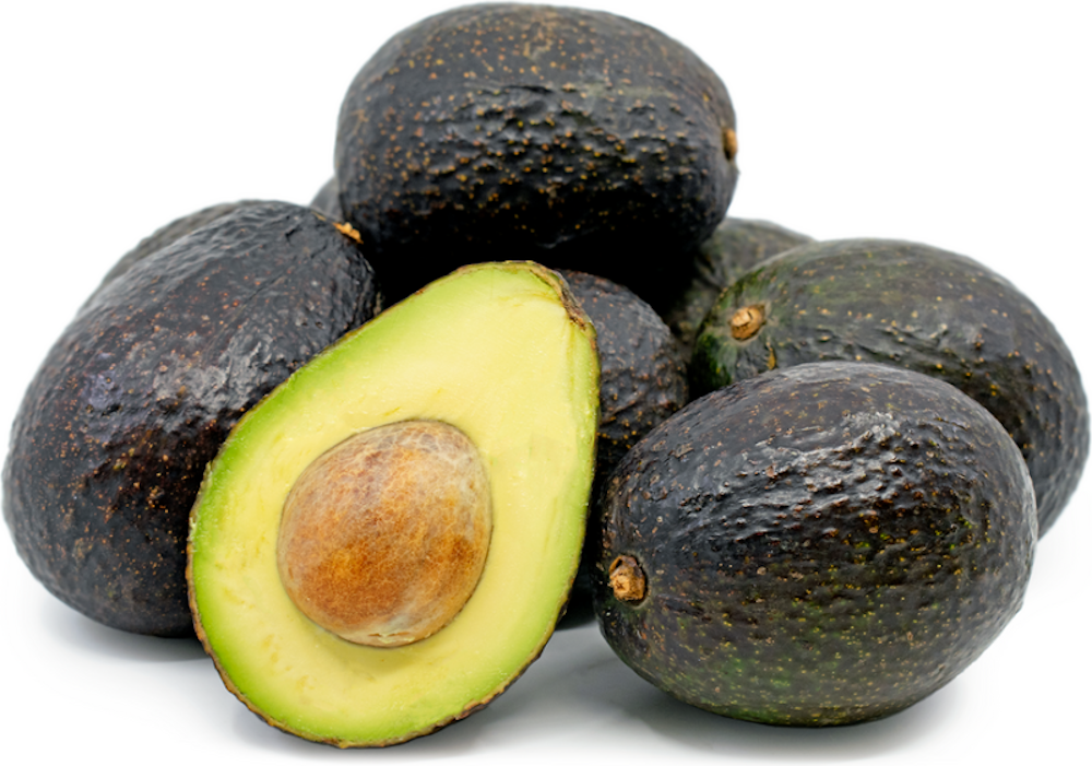 TIADA COD Anak Pokok Avocado Peter Hass | Shopee Malaysia