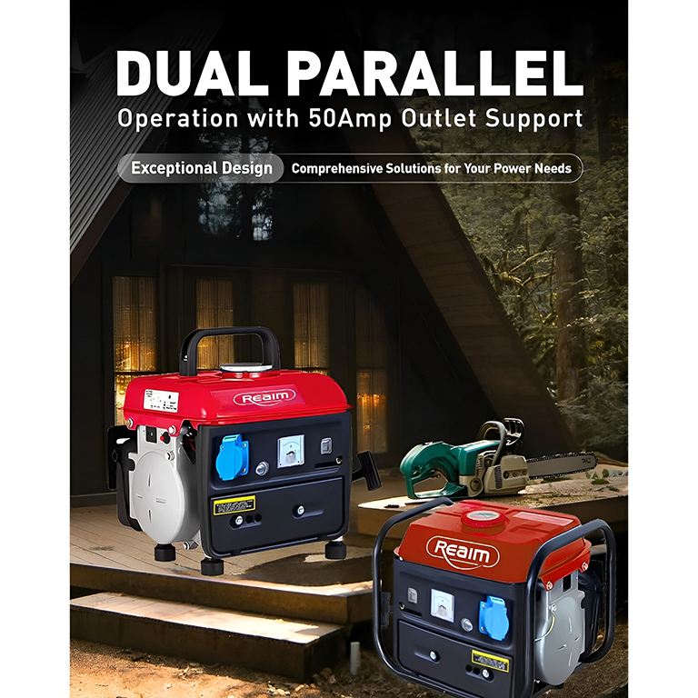 REAIM Gasoline Generator Penjana Bahan Api Petrol 950W Household High ...