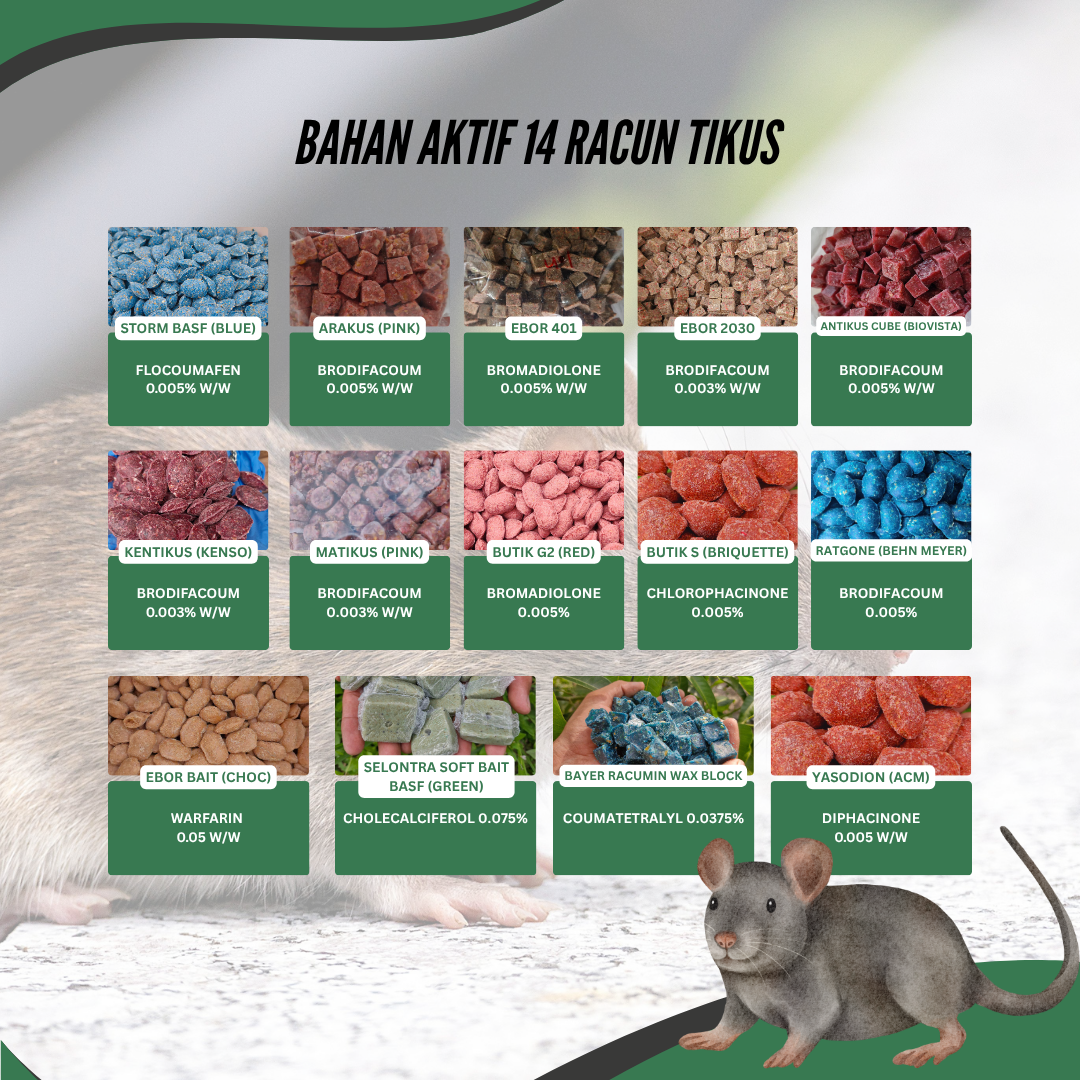 100g Racun Tikus 14 Jenis Repack Talon Rattus Antikus Storm Ebor ...