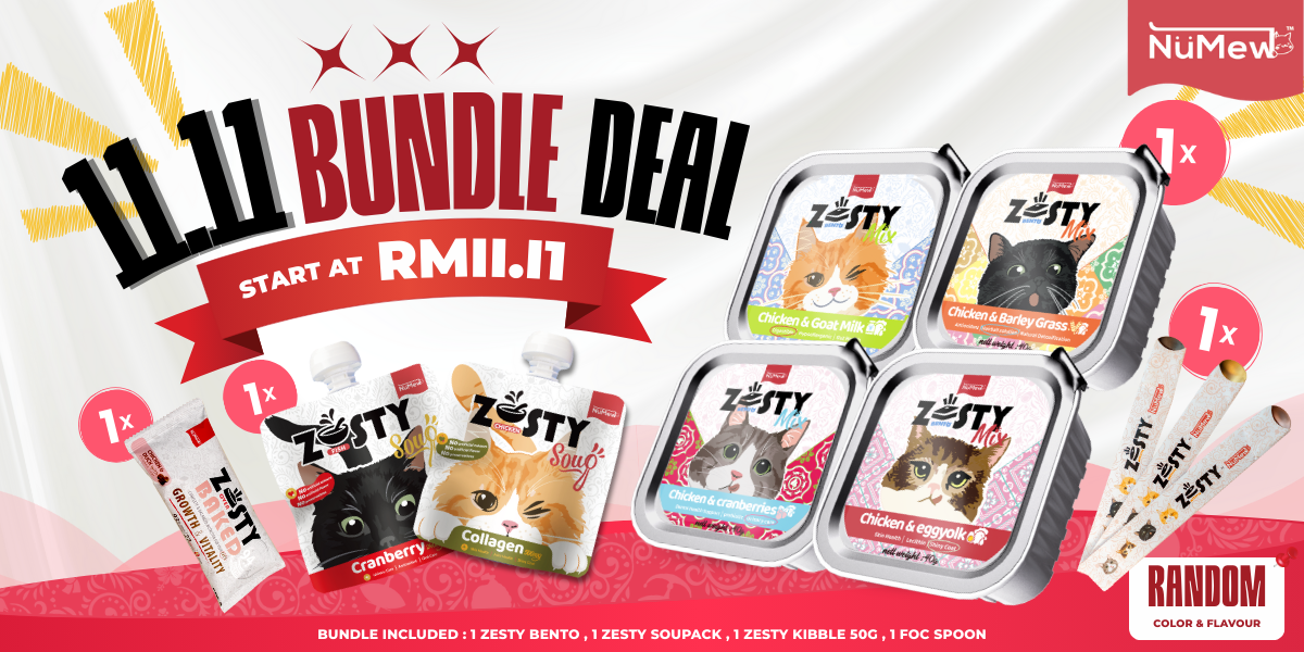 Numew Value Pack Zesty Kibble 50g + Zesty Bento + Zesty Soupack ...
