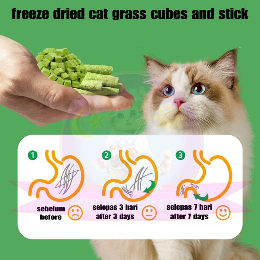 FREEZE DRIED CAT GRASS CUBES DAN STICK 100g | Shopee Malaysia