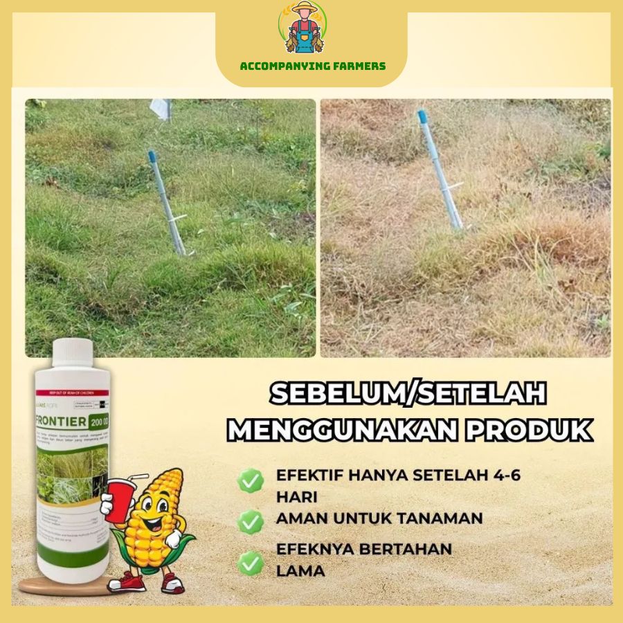 Herbisid Organik FRONTIER 200 OD dari Jepun, 250ml, membunuh lebih 100 ...