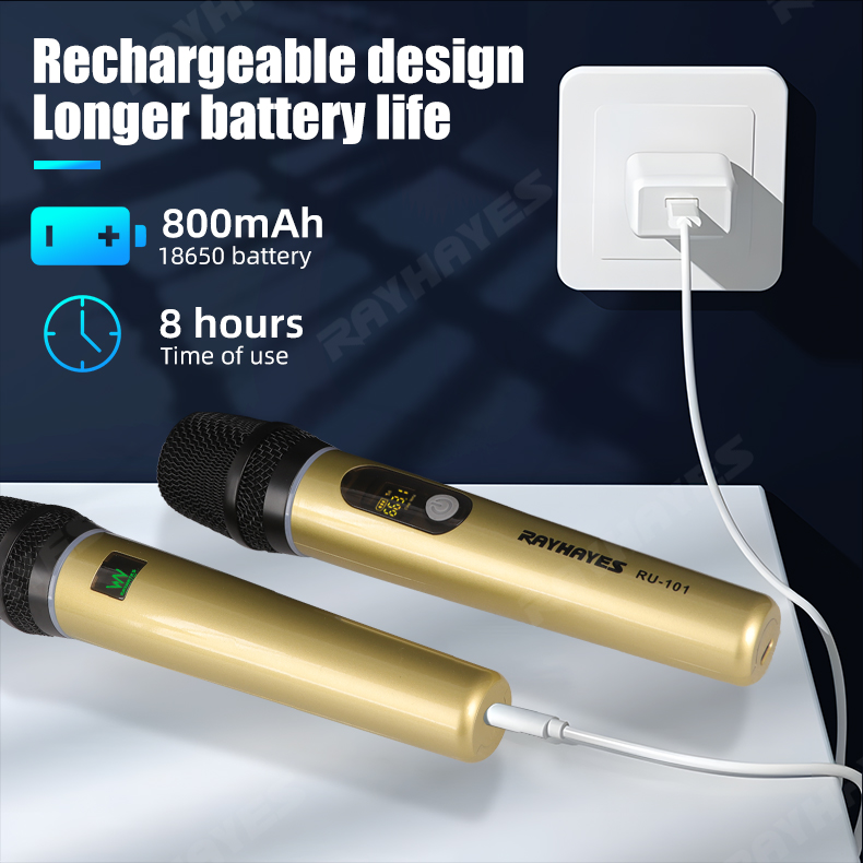 RAYHAYES Microphone Wireless System UHF Rechargeable Microphone LED ...