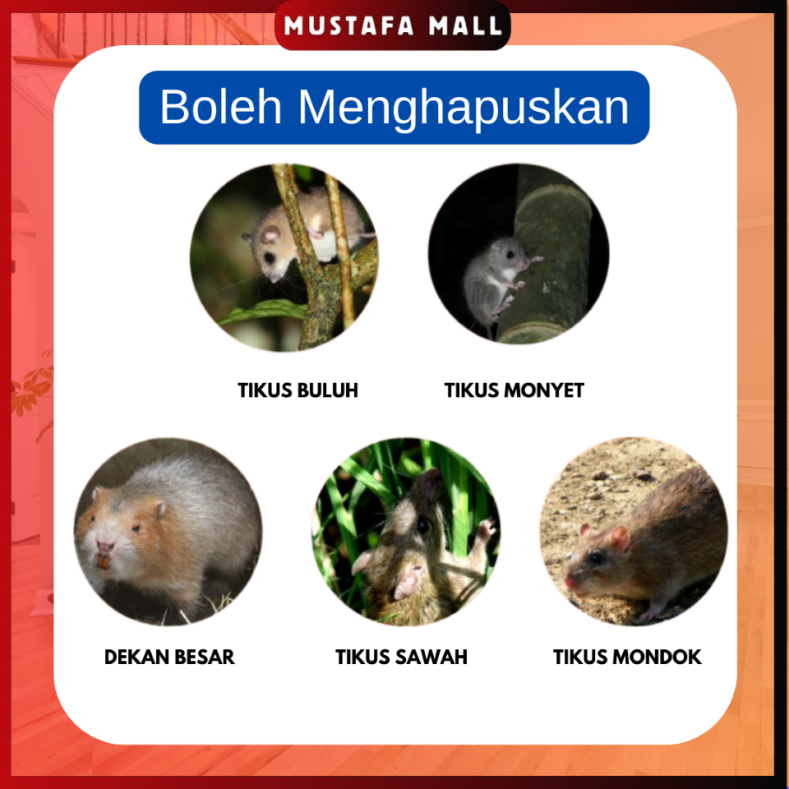 FGV BUTIK G2 racun tikus umpan berkesan rumah restoran kedai pejabat ...