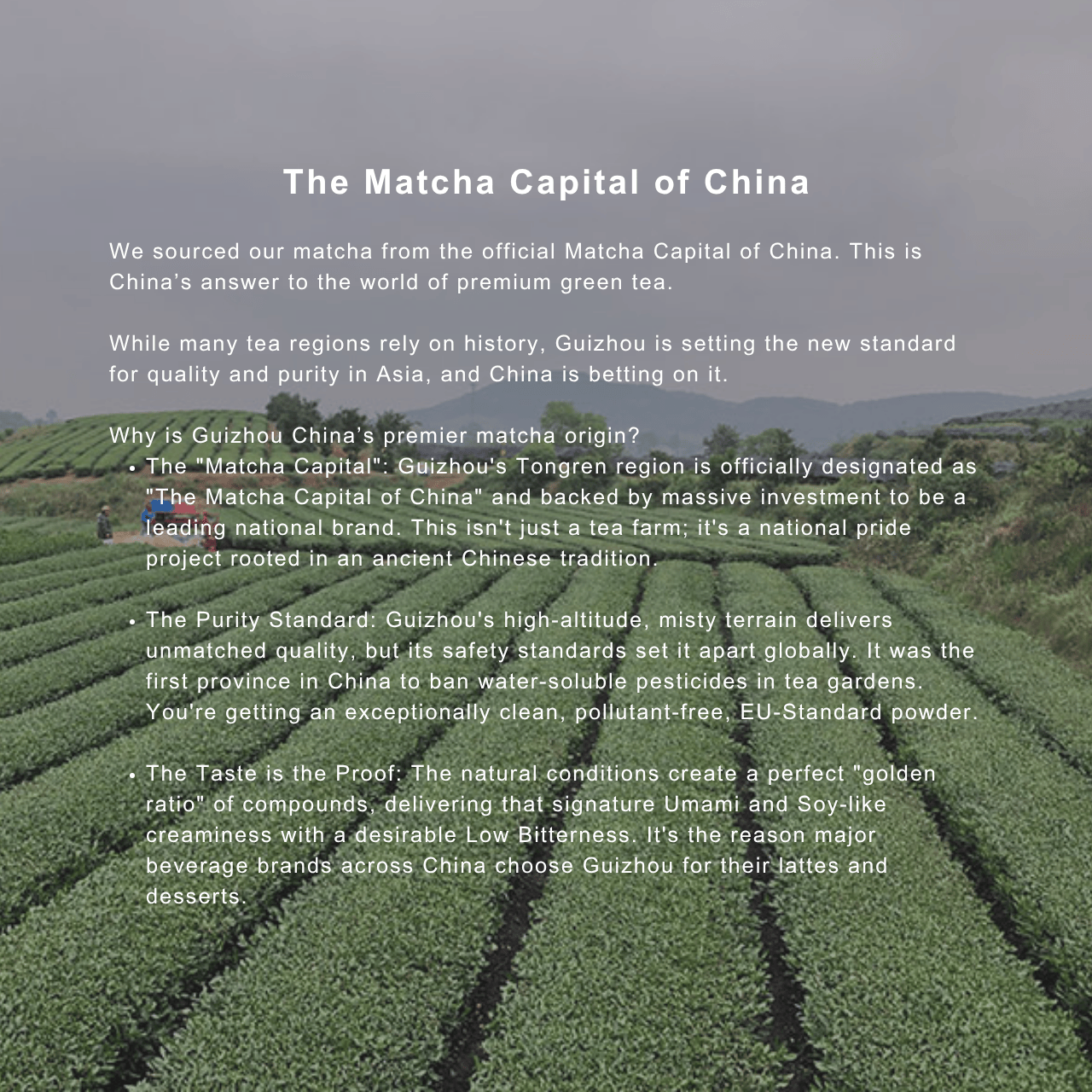 Davon - YUN 100% Matcha Powder from Guizhou China | Shopee Malaysia