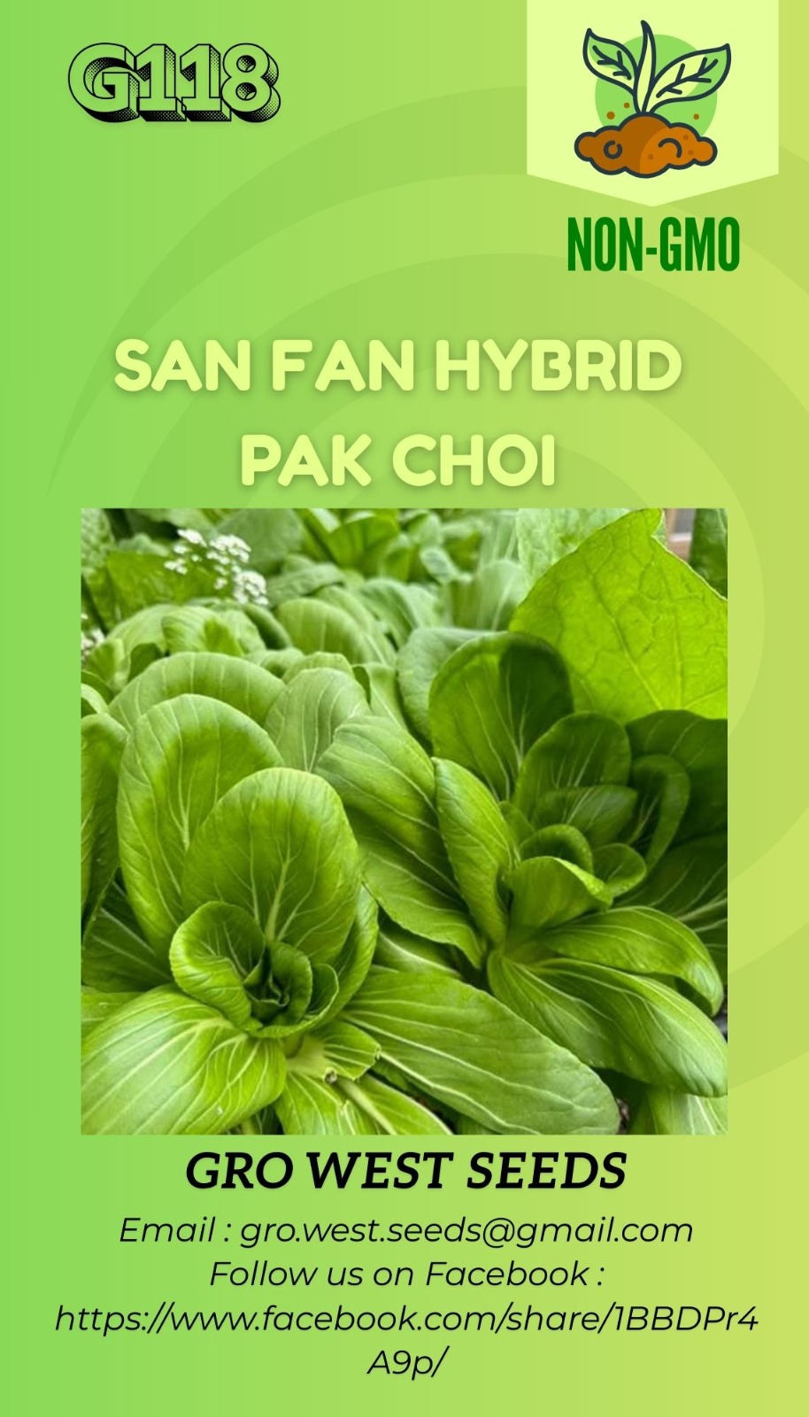 Non-GMO Rare Seeds from USA - San Fan Hybrid Pak Choi (Heat Tolerant ...