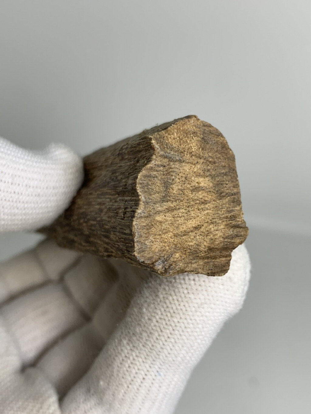 Malaysia Wild Oud Agarwood | Shopee Malaysia