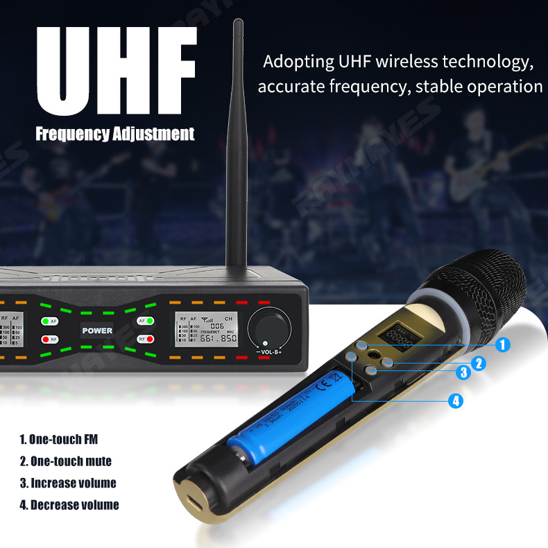 RAYHAYES Microphone Wireless System UHF Rechargeable Microphone LED ...