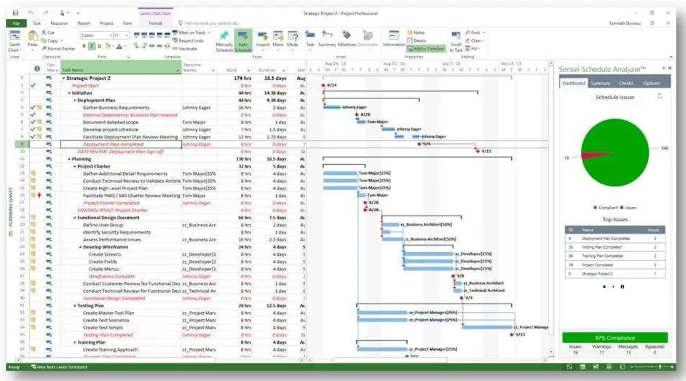 Microsoft Project Professional 2024 (Digital Download) (Create Microsoft Own Account) Retail Box ...