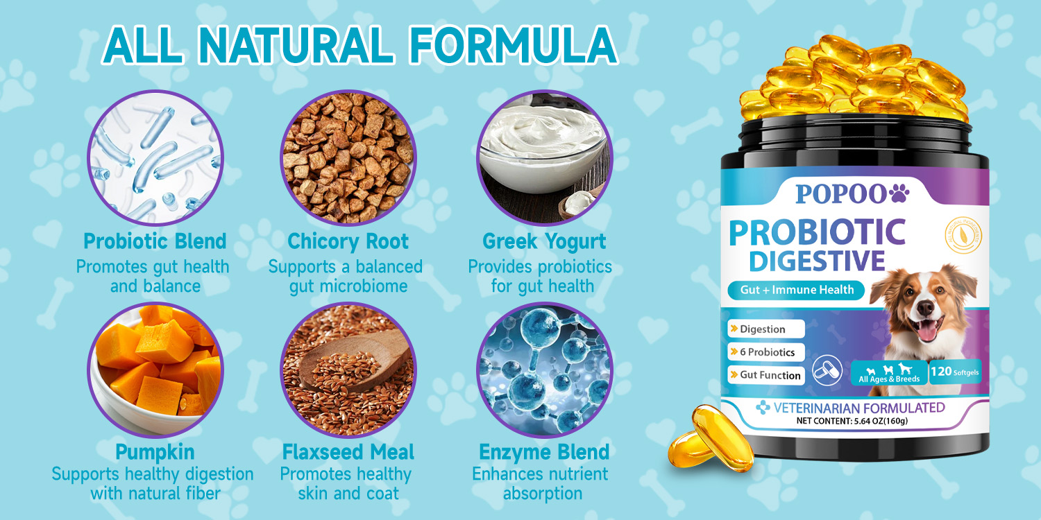 Popoo Probiotic Digestive for Dogs Gut Health Dog Treats Probiotic ...
