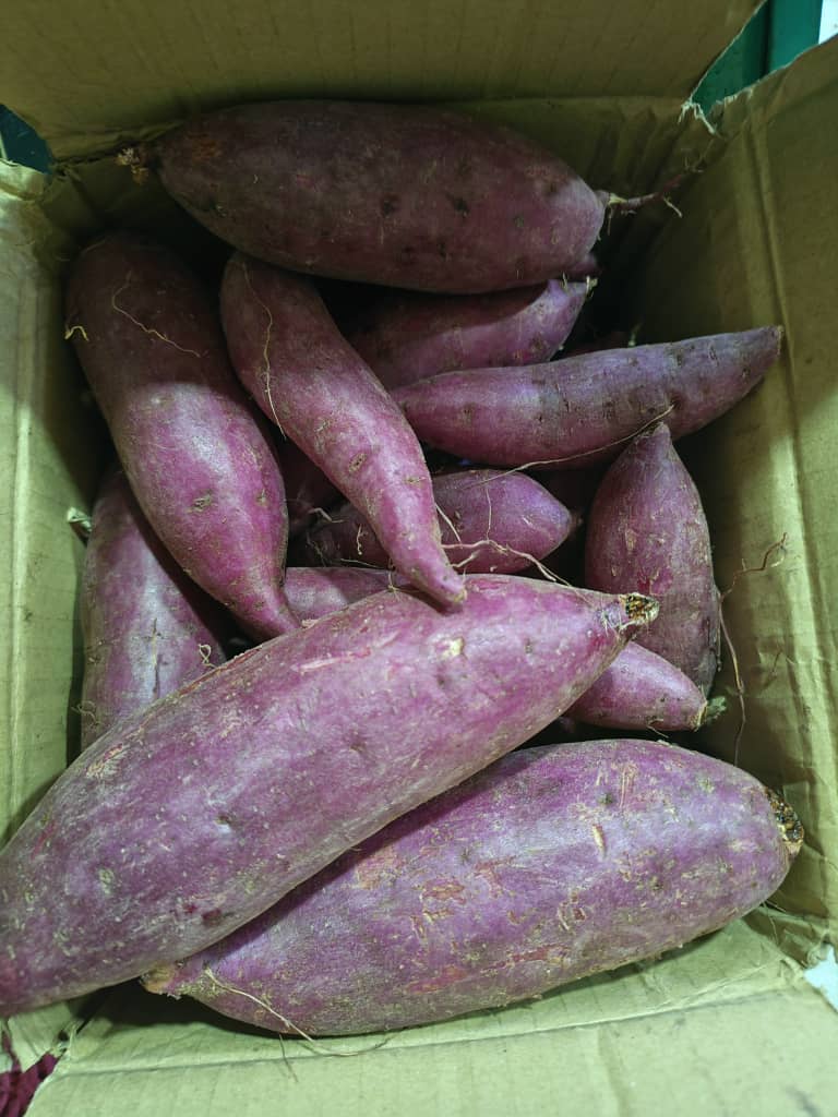 Ubi Keledek Local Ipoh / Purple Sweet Potato / Purple Yum / 本地番薯 （怡保 ...
