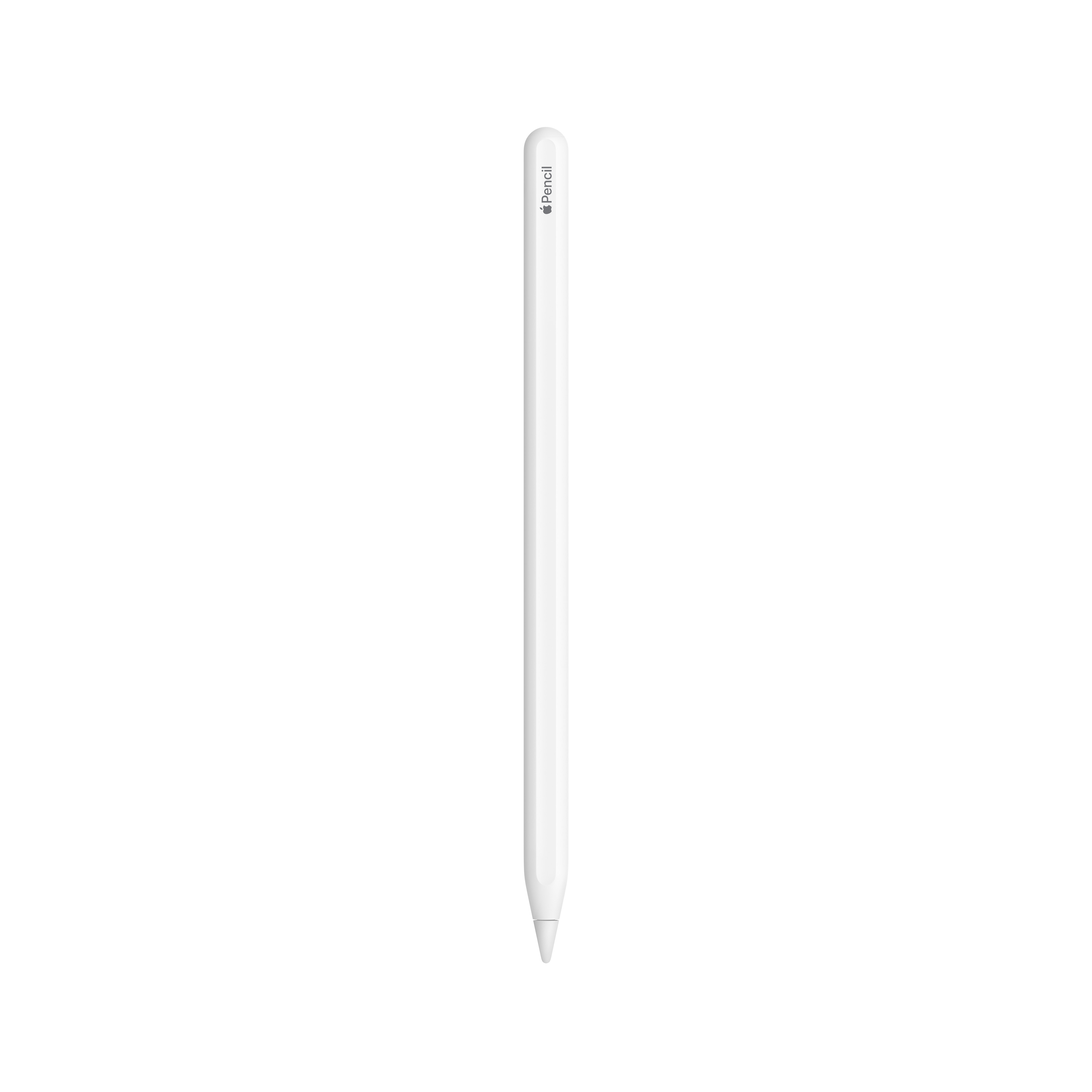 iPad Mini (6th gen) Space Grey / Apple Pencil (2nd Gen) - Second Hand ...