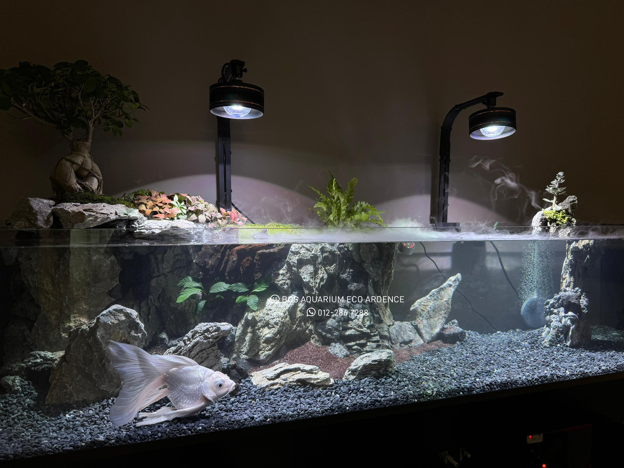 Bettas Full Spectrum Aesthetic Pro Ecological LED Aquarium Lamp ...