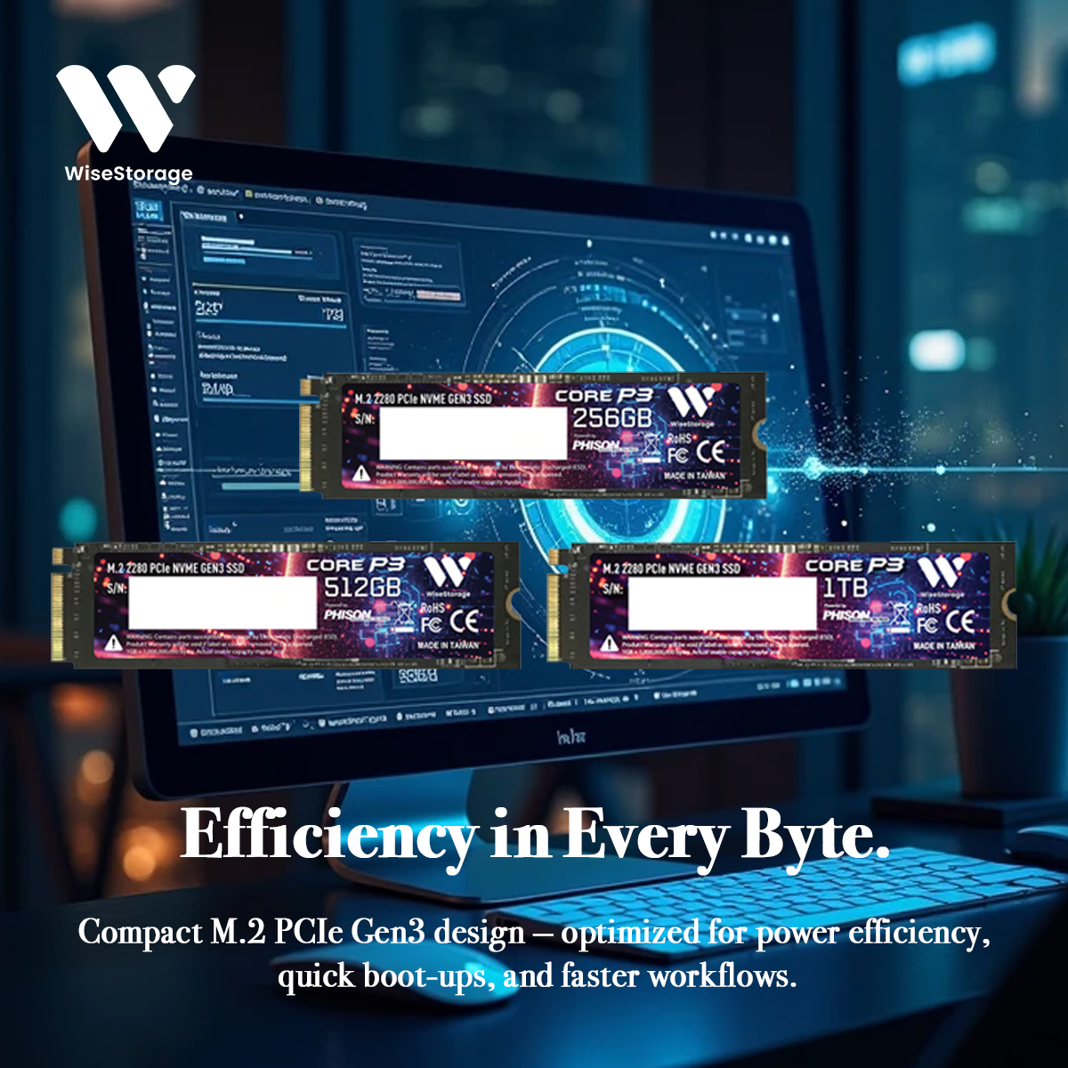 WiseStorage CORE P3 256GB M.2 2280 PCIe 3.0 NVMe Gen3 SSD – High-Speed ...