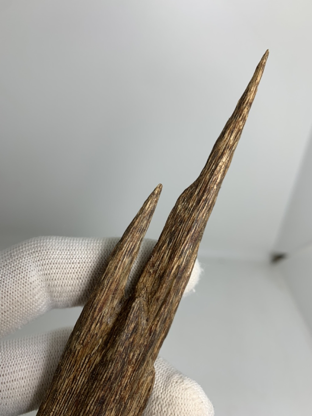 Malaysia Wild Oud Agarwood | Shopee Malaysia
