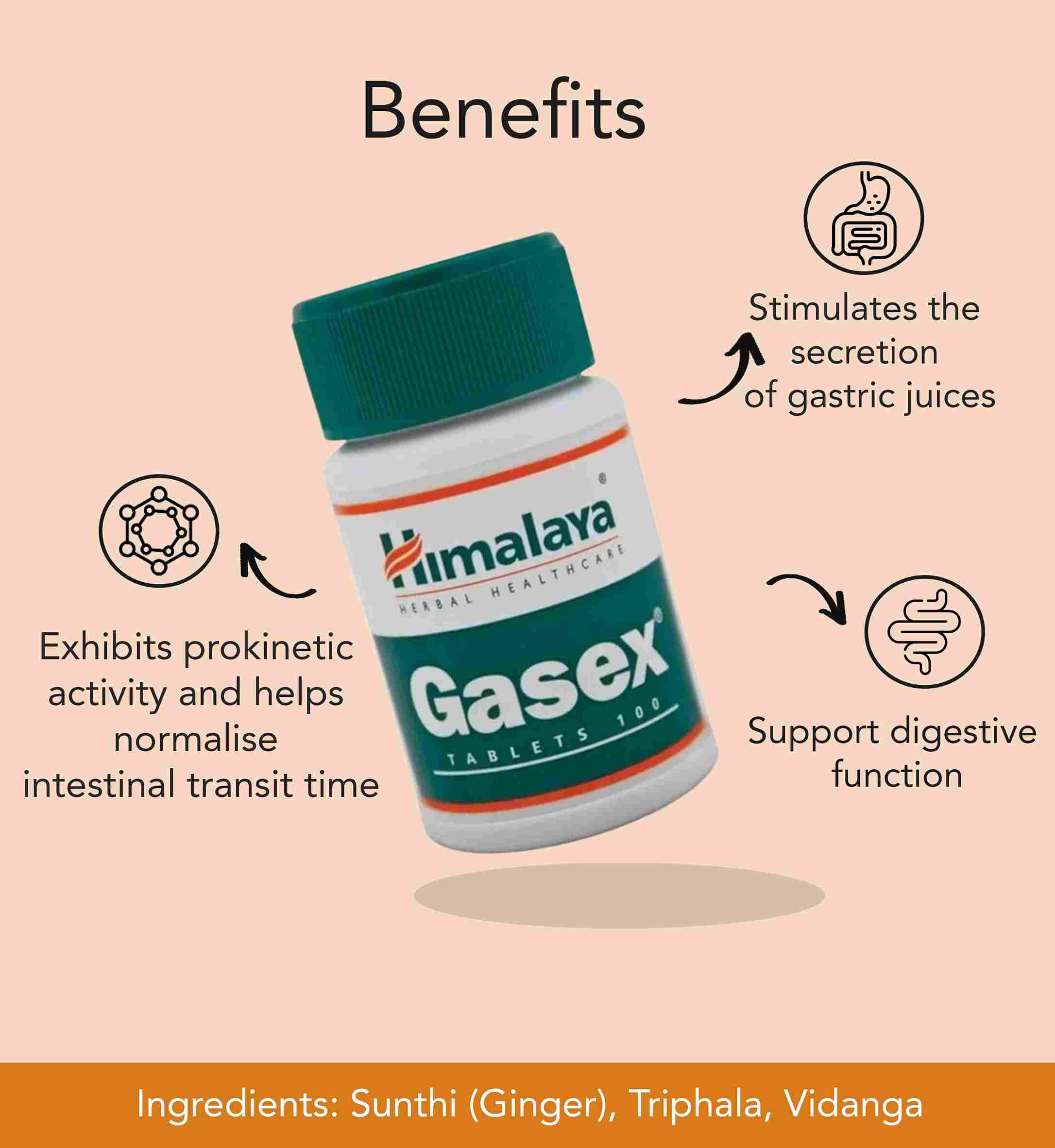 HIMALAYA HERBAL GASEX TABLETS 100S | Shopee Malaysia