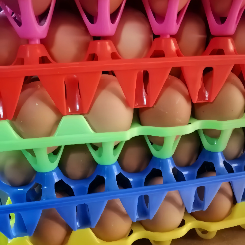 Egg Tray Plastic Egg Storage Bekas Telur Tray Telur Crates 30 Eggs Tray ...
