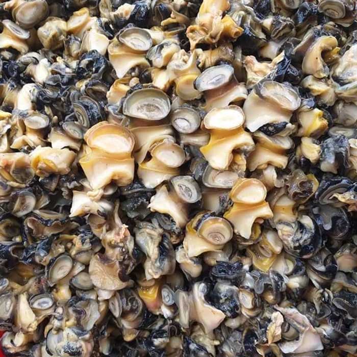 Ruot Oc Buu Den Lam Sach - Cleaned Frozen Black Apple Snail Meat ...