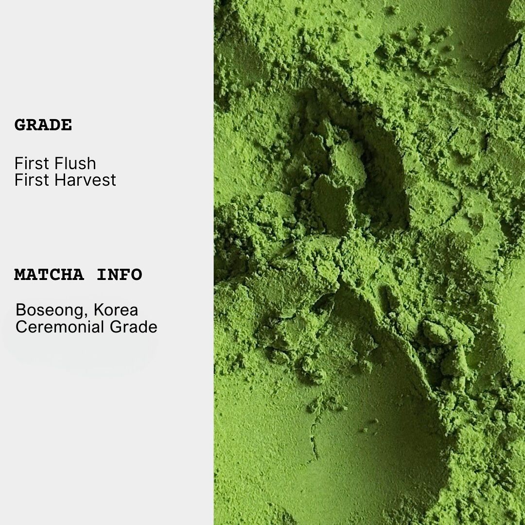 Nado Matcha + Allulose Syrup Combo [with FREE Tote Bag] |Korea ...