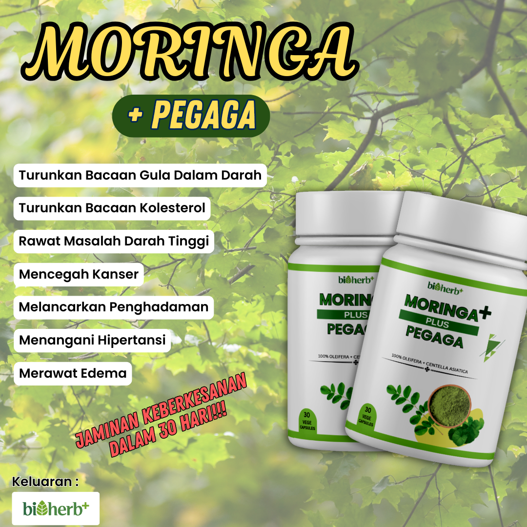 Moringa + Pegaga Bioherb Daun Kelor Membantu Darah Tinggi, Kencing ...