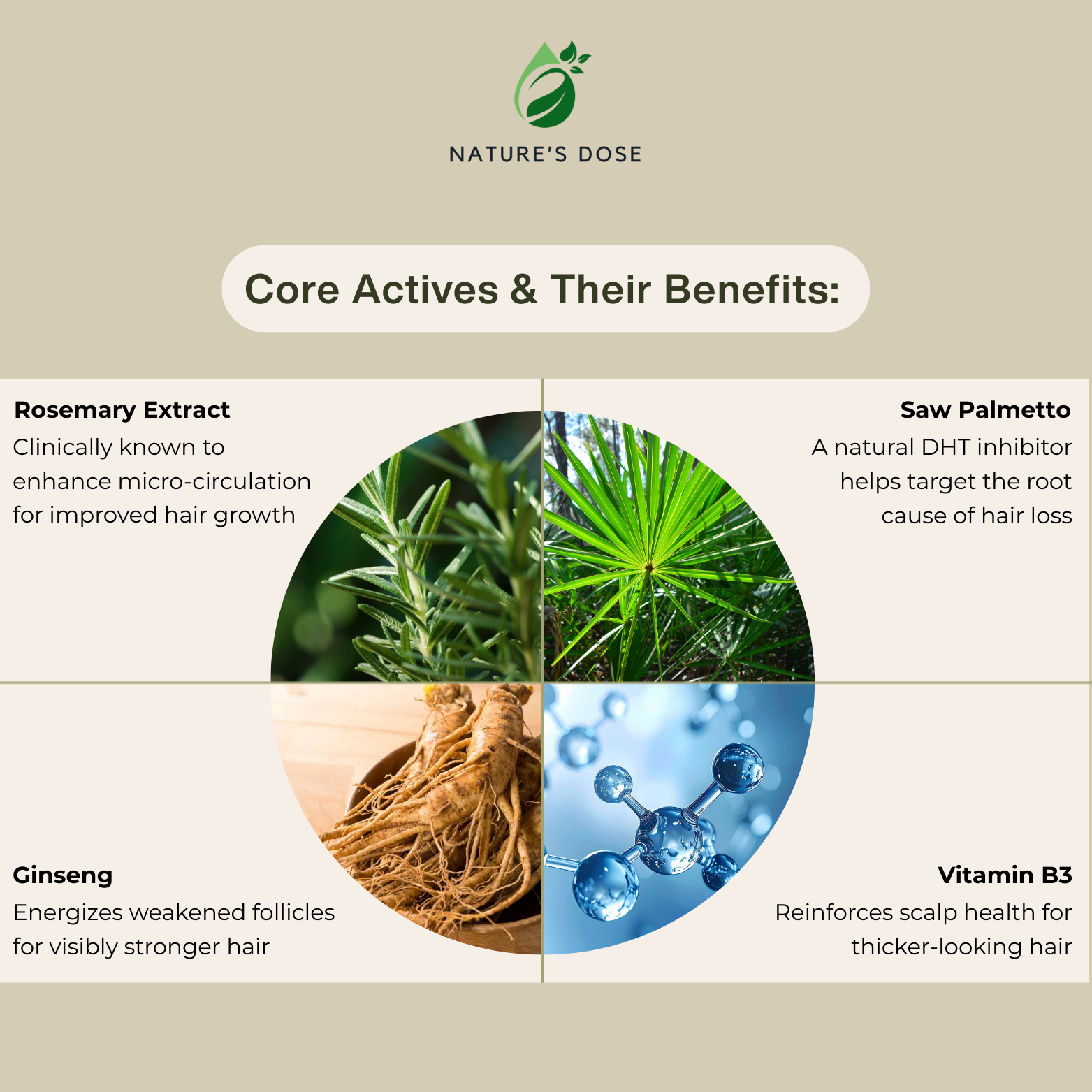 Hair Growth Tonic + Rosemary Hair Oil Combo – Anti Hair Fall, Scalp ...