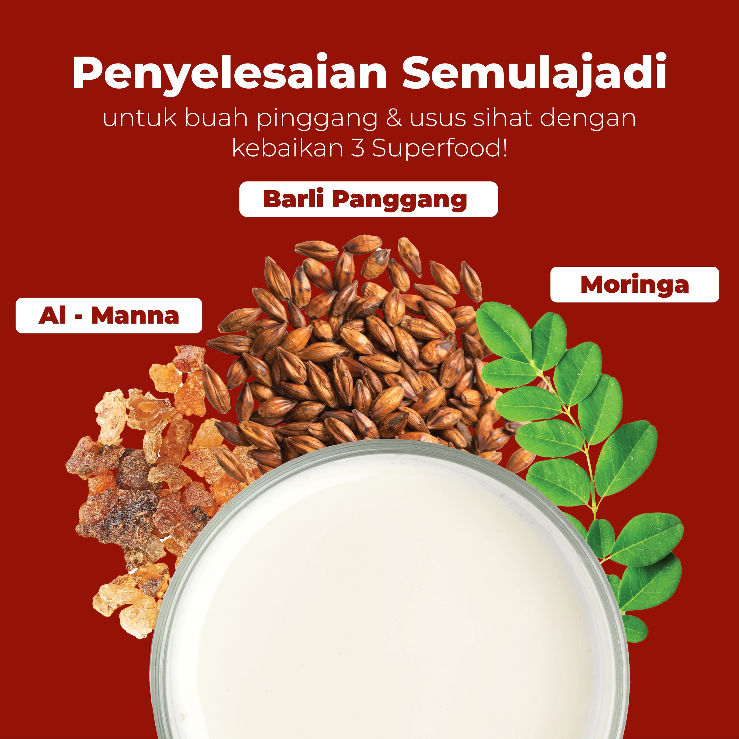 zaktar roasted barley campuran arabic gum dan daun moringga untuk ...