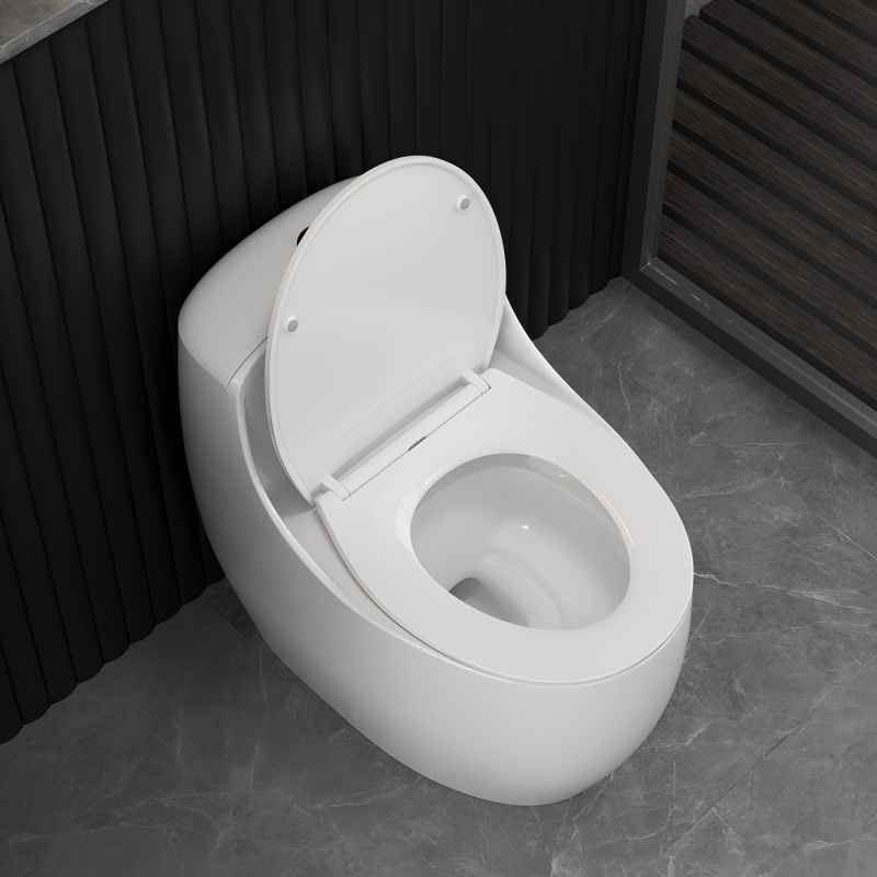 NEXA-66807 Compact One-Piece Toilet with Dual Flush System for Modern ...