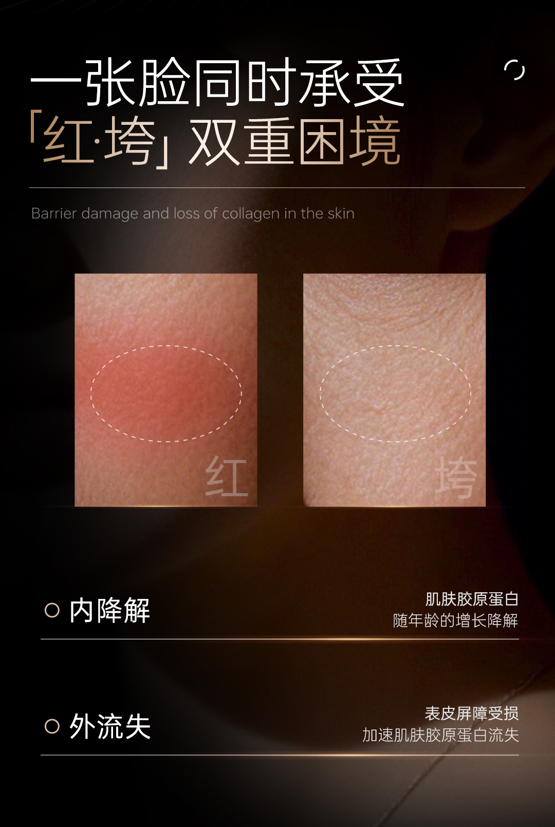 【𝟐.𝟎 𝐕𝐞𝐫𝐬𝐢𝐨𝐧 Small Pack】娇润泉JOYRUQO Recombinant Collagen Single Use ...