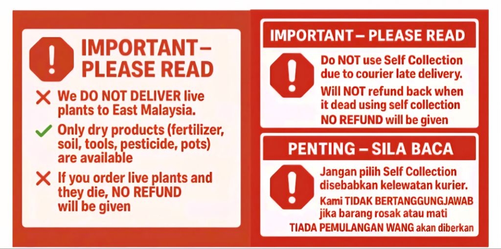 (No COD )1 Ctn Aroi-Dee Coconut milk(1Litter x12bottles) 100% Thailand ...
