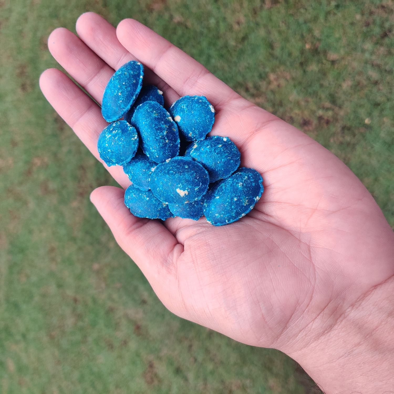 Racun Tikus BM RATGONE Pemusnah Tikus Cepat Untuk Rumah Dapur Pejabat ...