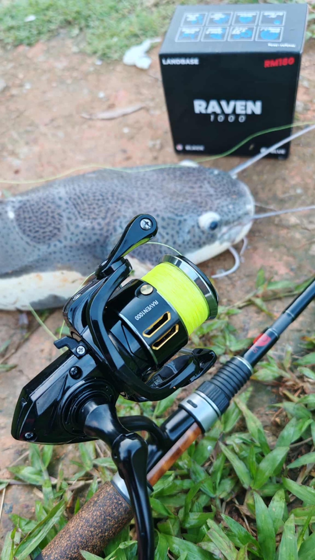 Rengitfisherman - Landbase 2025 Raven 1000 5+1BB 8kilo Drag 5.2:1 Ratio ...