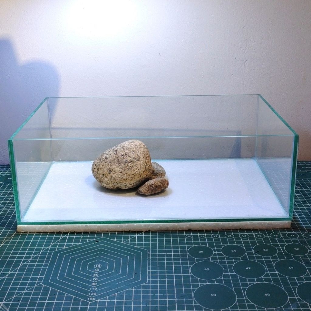 Aquarium tank, shallow tank, terrarium, 16in L x 10in W x 5in H ...