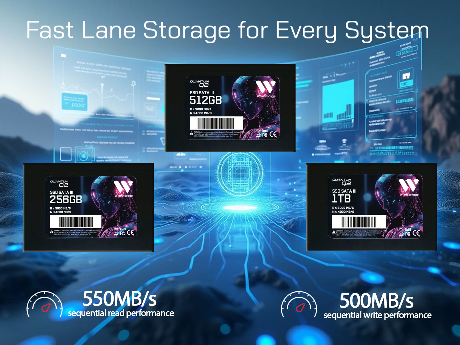 WiseStorage Quantum Q2 1TB 2.5" SATA SSD – Fast Solid State Drive for ...
