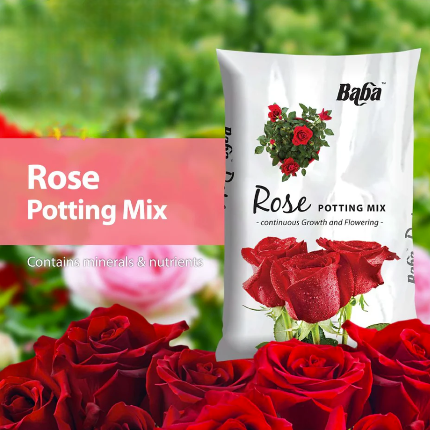 Baba Rose Potting Mix Soil (7 Litre) / Tanah Campuran Khas untuk Bunga ...