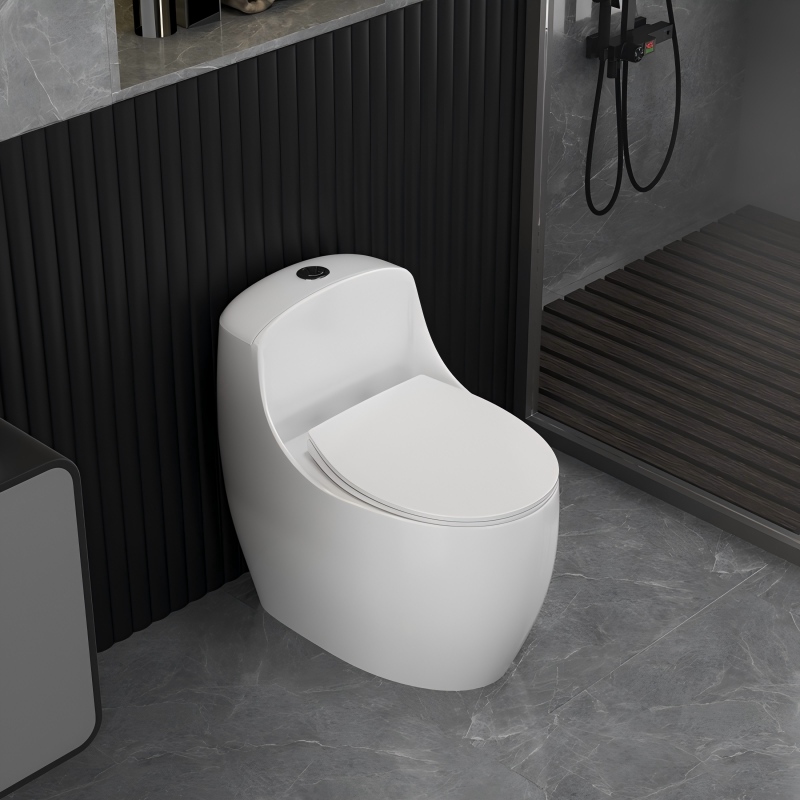 NEXA-66807 Compact One-Piece Toilet with Dual Flush System for Modern ...